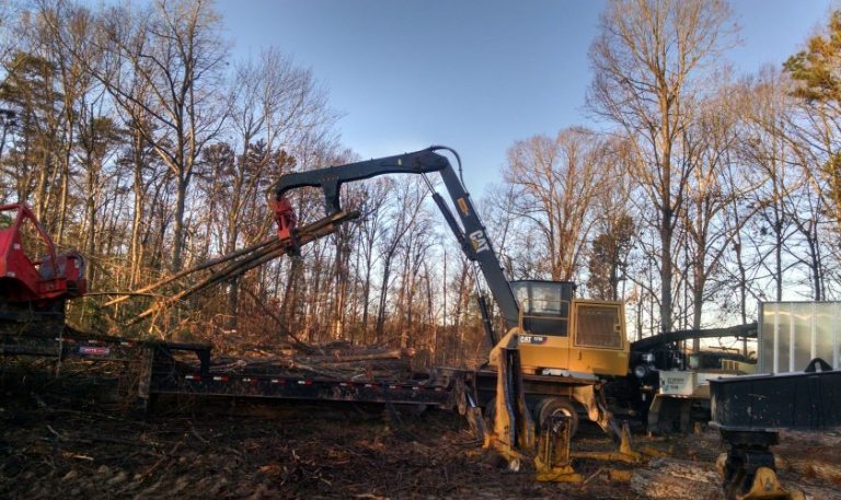 Forestry | Clearing & Grubbing | Commerical Development