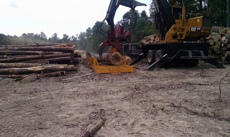 Forestry | Clearing & Grubbing | Commerical Development