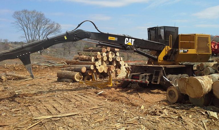 Forestry | Clearing & Grubbing | Commerical Development